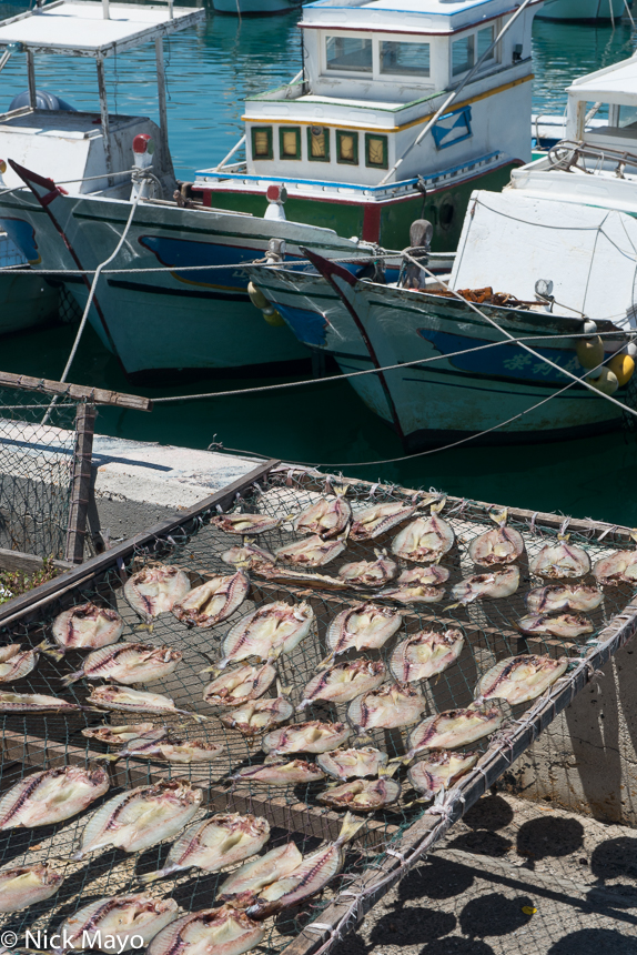 Fish Drying By The Harbour | Niaoyu, Penghu, Taiwan (2015) | Nick Mayo ...